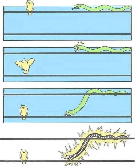 Electronics Pcbhero Pcbfactory Circuit Lisa Wang