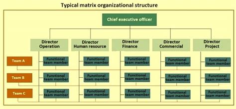 Organization Structure Functional Projectized Matrix