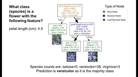 Understanding Decision Trees Using Python Scikit Learn Youtube