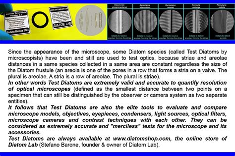 Diatom Test Slide Version 20 Test Slides For Optical Microscopy And