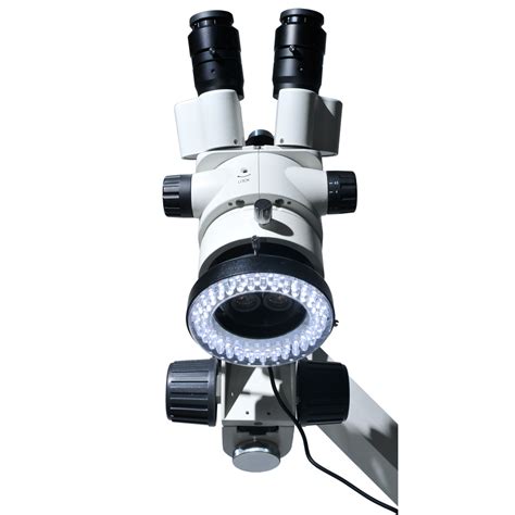 Exploring The Microscopic World The Benefits Of A Digital Microscope
