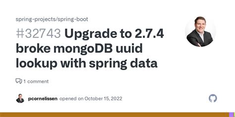 Upgrade To 274 Broke Mongodb Uuid Lookup With Spring Data · Issue