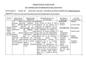 Planificación Diaria De Clase Formato Docente Materiales Educativos Formatos De Planeacion