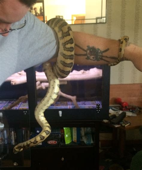 Scratch Album On Imgur