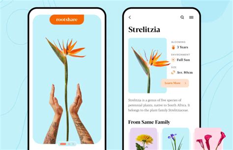 30 Best Ui Design Examples And Templates