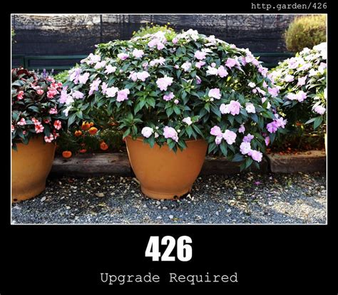 426 Upgrade Required Status Code And Gardening