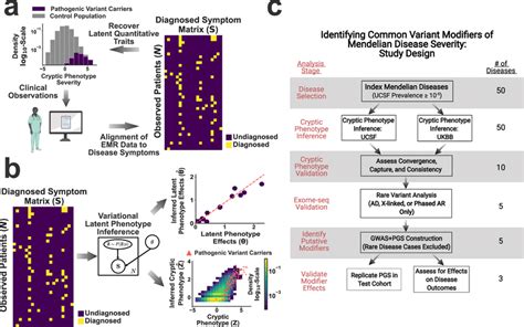 A Phenotype Driven Approach To Identifying Common Variant Modifiers A