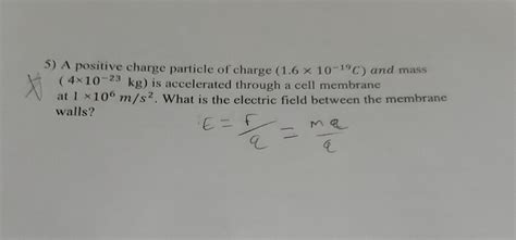 Solved 5 A Positive Charge Particle Of Charge 1 61019C Chegg Com
