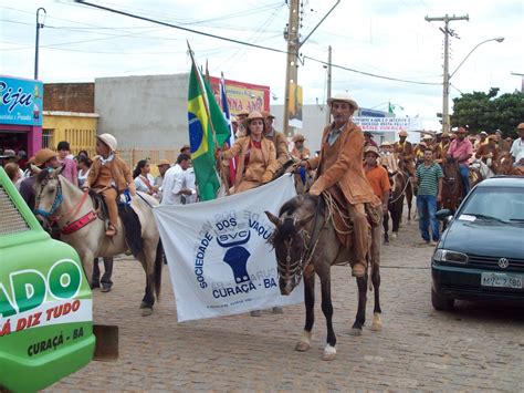 Cavalo Nordestino 57ª Festa Dos Vaqueiros De Curaçá