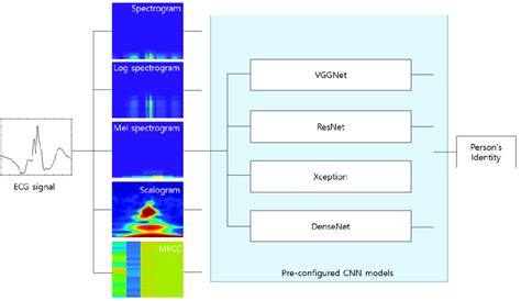 Ecg Biometrics Using Several Time Frequency Representations Download
