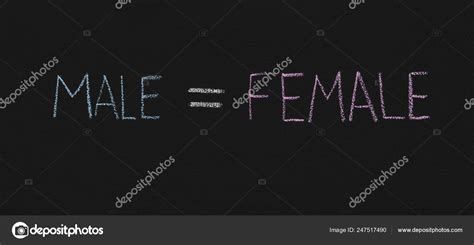 Male Is Equal To Female Chalkboard Sketch Stock Photo Milkos 247517490