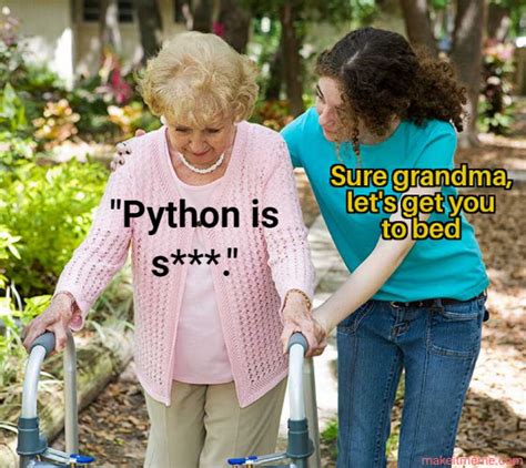 Python R Programmerhumor