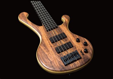 Adamovic South American Laurel Super Nova 入荷しました Otf Blog