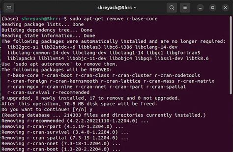 Installing Or Uninstalling R On Ubuntu Shreyash Somvanshi