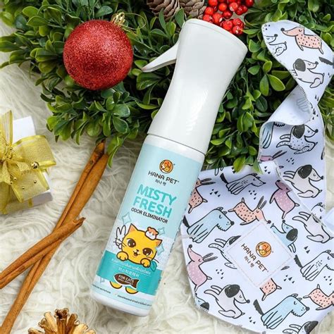 หน้าแมว ความเหมือนที่แตกต่าง 🧡🖤🤍 แมวสามสี Calico