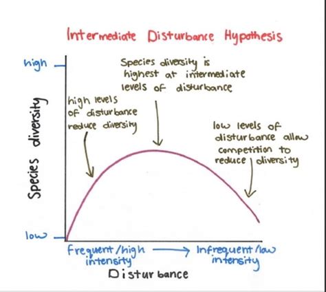 Species Diversity Patterns Flashcards Quizlet