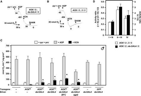 Mitochondria From Aox Expressing Flies Exhibit Cyanide Resistant