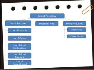 Gestalt Principles PPTX Science