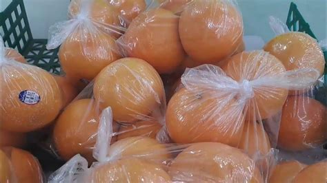 과일삼촌의 여름과일 시세 가이드 배 사과 감귤 블루베리 수박 참외 포도 키위 망고 특집 Youtube