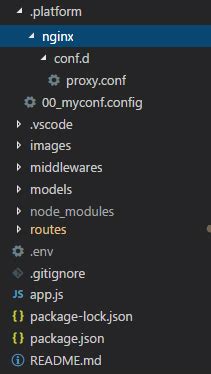 Amazon Web Services Increasing Client Max Body Size In Nginx Conf On