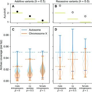 The Effects Of Dominance And Sex Bias On Chromosome X Archaic Coverage Download Scientific