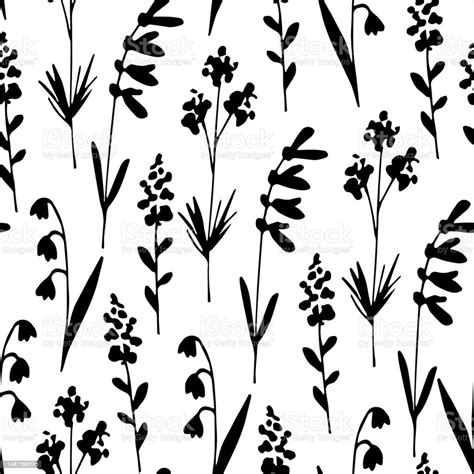 검은색 윤곽선에 간단한 꽃 벡터 그리기 야생 초원 꽃의 검은 실루엣 흰색 바탕에 허브 직물 직물 포장의 인쇄용 0명에 대한 스톡 벡터 아트 및 기타 이미지 Istock