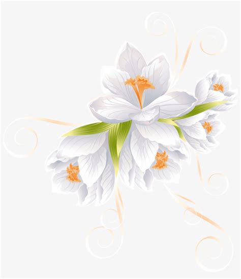 White Flower Vector Images Free Best Flower Site