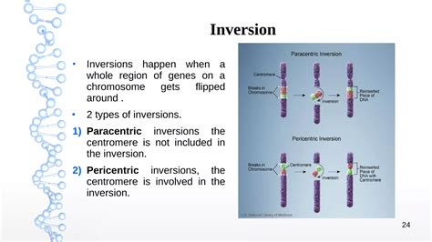 Mutation And Assay Of Mutagenesis Ppt