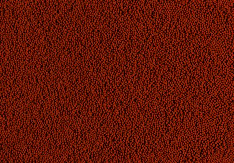 Tetra Cichlid Colour Pellets Tetra