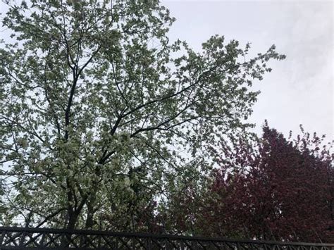 Зірки пророкують що вихідні 6 та 7 травня принесуть нам багато цікавих подій та можливостей