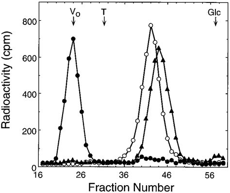 Bio Gel P 4 Chromatography Of Carbohydrate Moieties Of P Falciparum Download Scientific