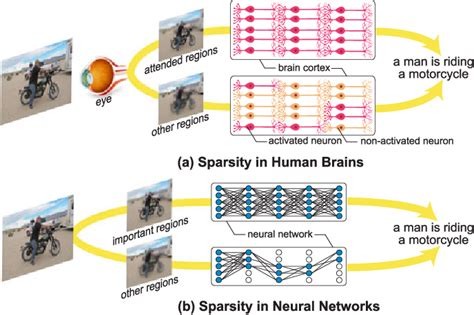 Figure 1 From Exploring Fine Grained Sparsity In Convolutional Neural