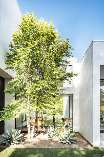 Wernerfield Organises Slender Dallas Residence Around Pool Terrace