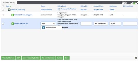 Completely Revamp Your Salesforce Account Hierarchy Experience