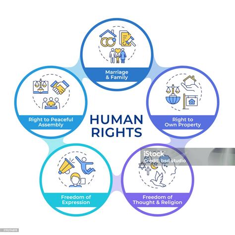 Society Freedom Rights Infographic Circles Flowchart Stock Illustration