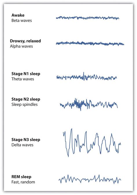 Stages Of Sleep Rem And Non Rem Sleep Cycles Artofit