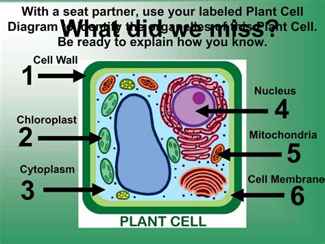 Lecture 1 The Cell Is A Structural Functional Unit Of Life Pptx