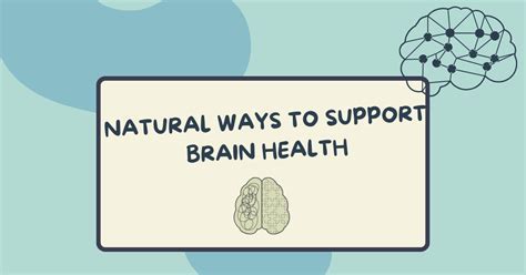 Can Supplements Really Boost Your Brain Health Fitaminat