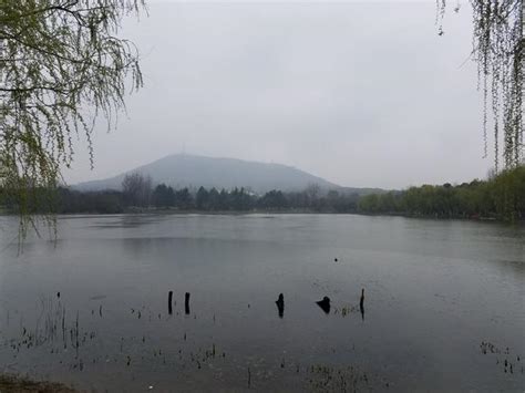 吹面不濕閒逛意又觀春景又稱嗟 每日頭條