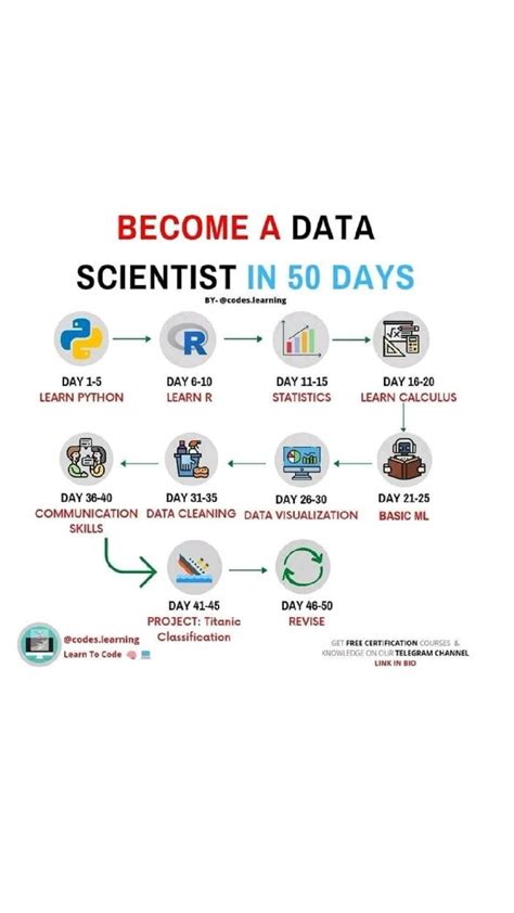Data Scientist Roadmap Your 50 Day Guide