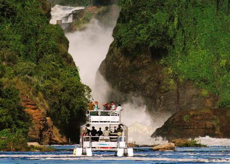 Uganda Safaris Gorilla And Wildlife Safari Tours