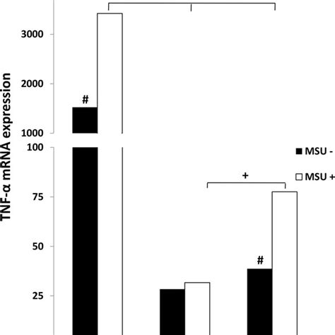 Tnf α Production By Monocytes Monocytes From Pregnant Women With