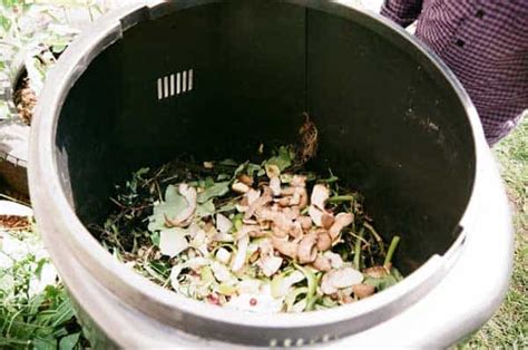 How To Make Compost Step By Step Epic Guide Green Thumb Gardener