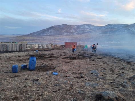 Монголын байгаль Монголын байгаль хамгаалагчдын холбоо