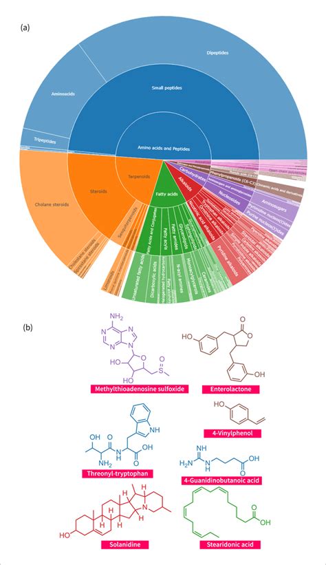 Metabolite Annotation And Classification A The Sunburst Diagram Of Download Scientific