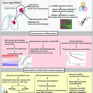Schematic Flowchart And Bioinformatics Workflow Download Scientific Diagram