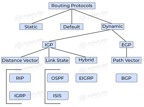 Eigrp Vs Ospf Whats The Difference Best Explained
