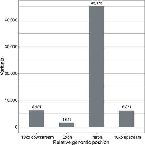 The Number Of Single Nucleotide Variants In And Around Known Genes Download Scientific Diagram