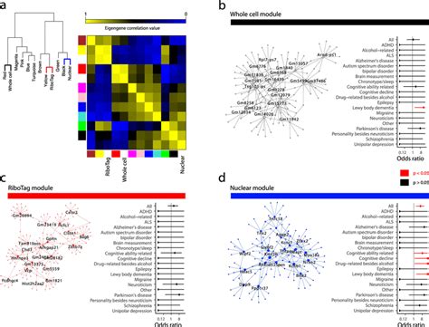 Method Correlated Wgcna Modules Provide Insight Into The Biological