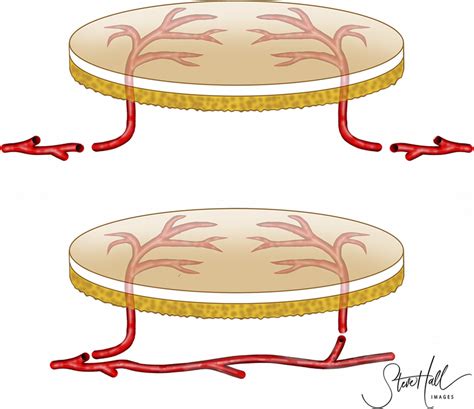 Annals Of Plastic Surgery